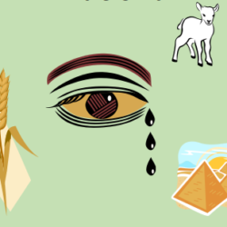 Life of Joseph – How to Heal from a Dysfunctional Family – Susan Grant